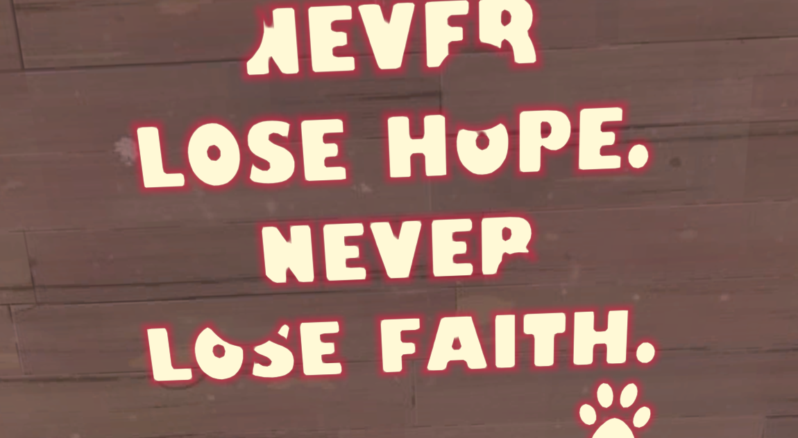 Signed Distance Field - 知乎