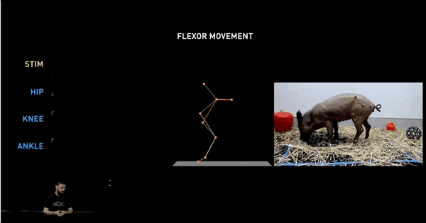 解密马斯克「Neuralink」2022最新进展，一文带你深入了解 - 知乎