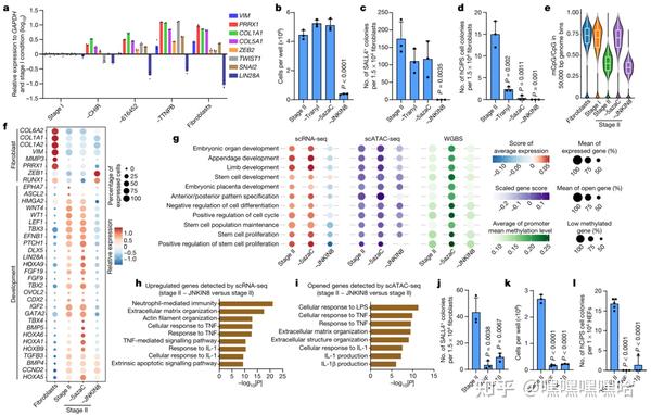 hCiPSC 化学诱导重编程人多能干细胞 | Chemical reprogramming of human somatic cells to ...