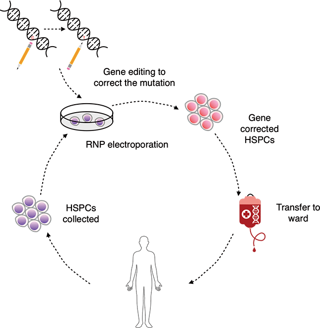 Lonza 4d-Nucleofector LV大体积转染应用分享！_化工仪器网