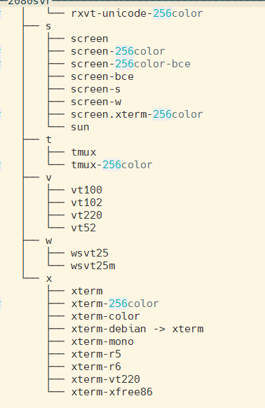 TERM环境变量 - 知乎