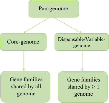 泛基因组(Pan-genome)研究思路与应用—作物篇 - 知乎