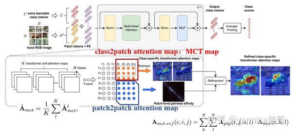 Mctformer Multi Class Token Transformer For Weakly Supervised Semantic Segmentation Cvpr2022 知乎