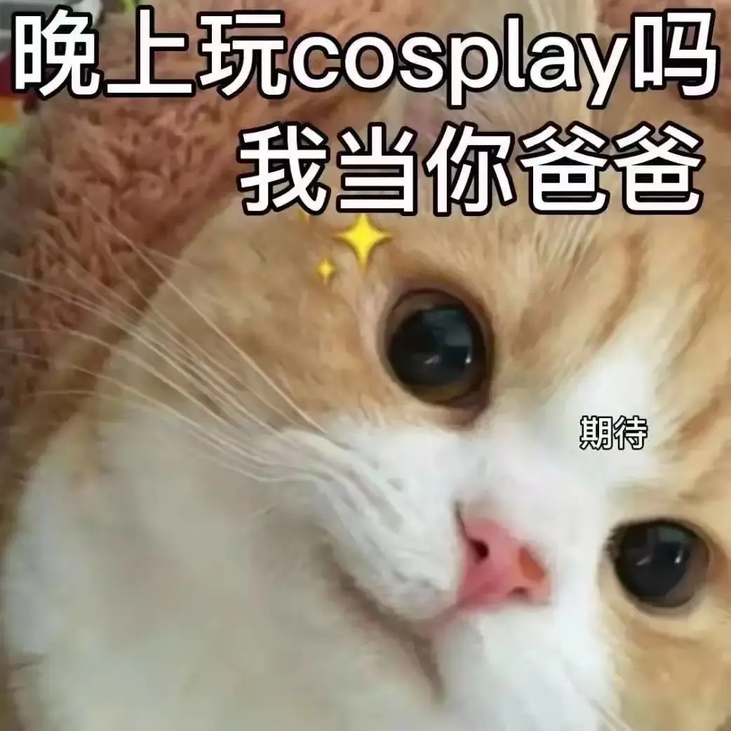 110张可爱的猫猫表情包 - 知乎