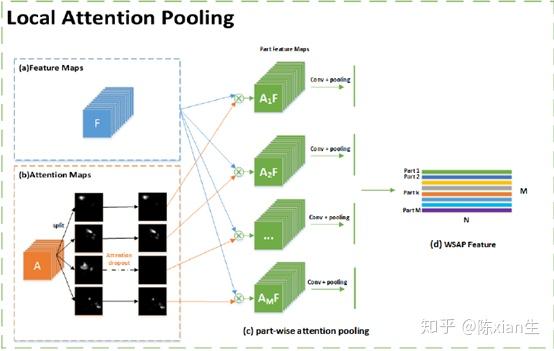 细粒度识别之Local Attention Network - 知乎