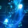 英文的一级分类 二级分类:区别辨析kind、sort、type、class、classification、category、species与 ...