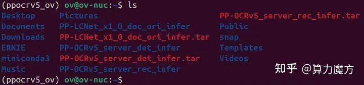 一键搞定！PP-OCRv5模型转ONNX格式全攻略，解锁多平台无缝部署 - 知乎