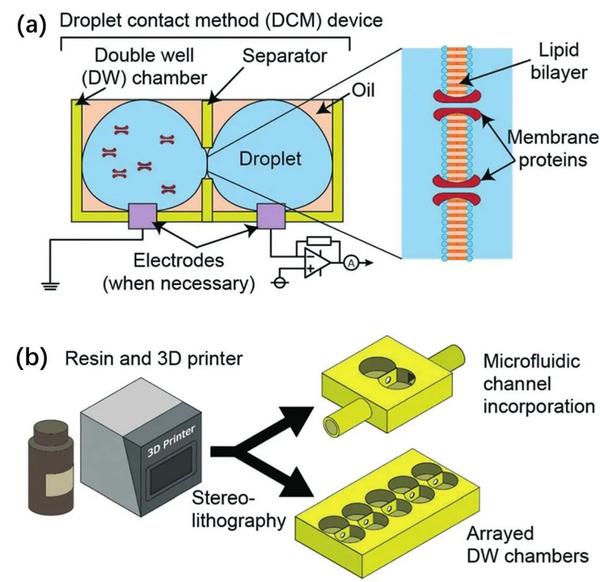《Lab on a Chip》封面文章：3D打印微流控器件制备双层脂膜 - 知乎