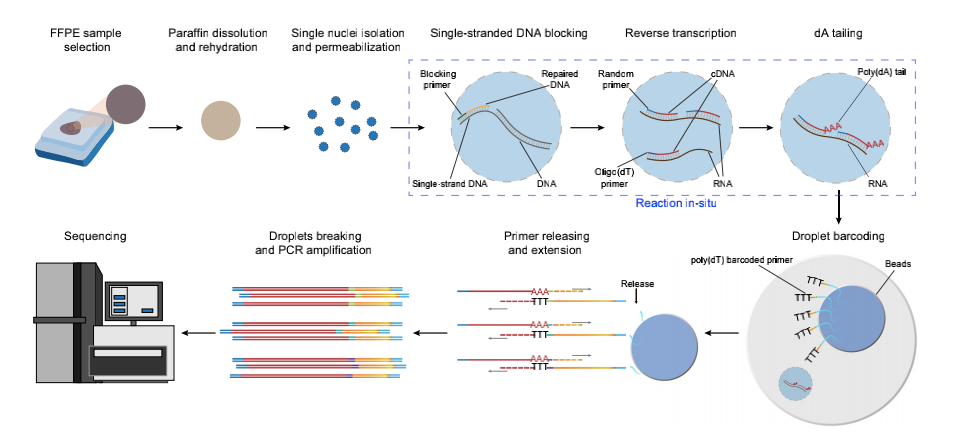 登陆Nature Communications-M20 Seq技术实现FFPE样本高性能检测 - 知乎
