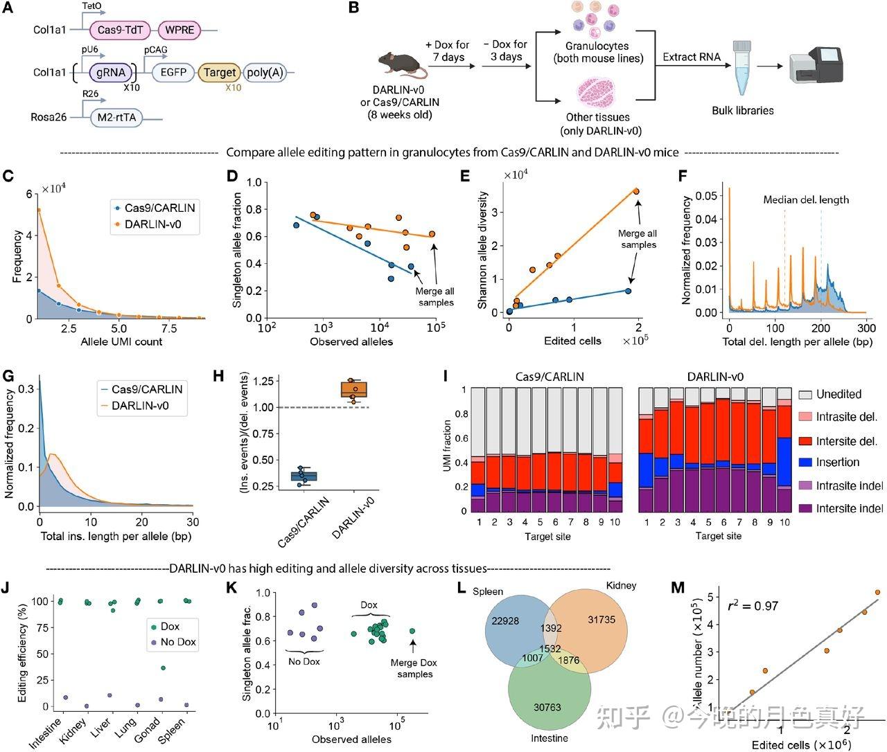 A model with high barcode diversity for joint lineage, transcriptomic ...