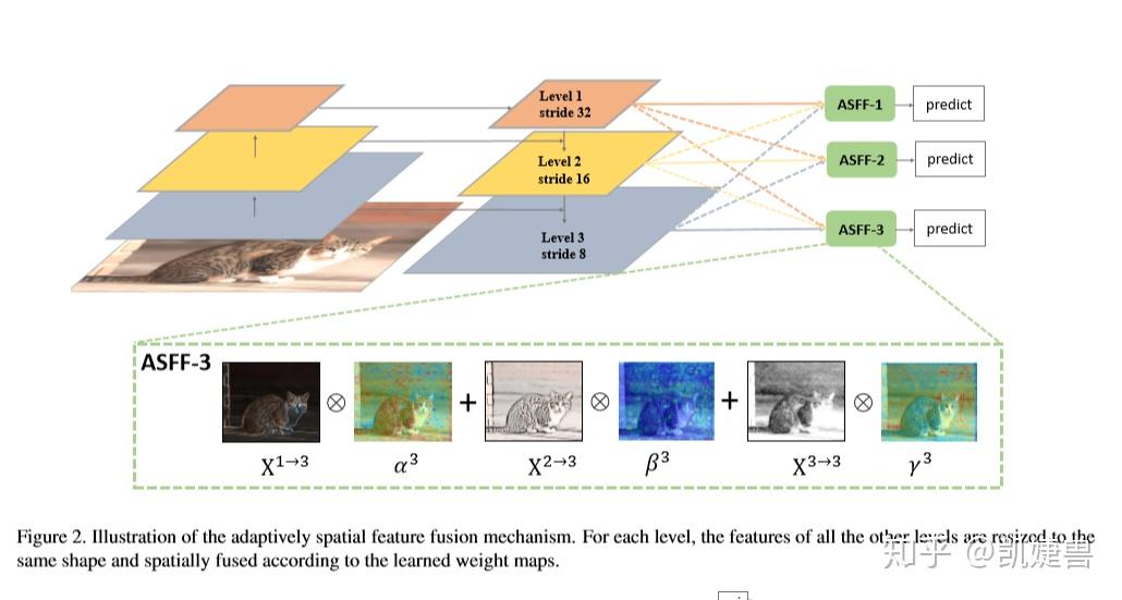 目标检测Adaptively Spatial Feature Fusion (ASFF)-最详细解读 - 知乎