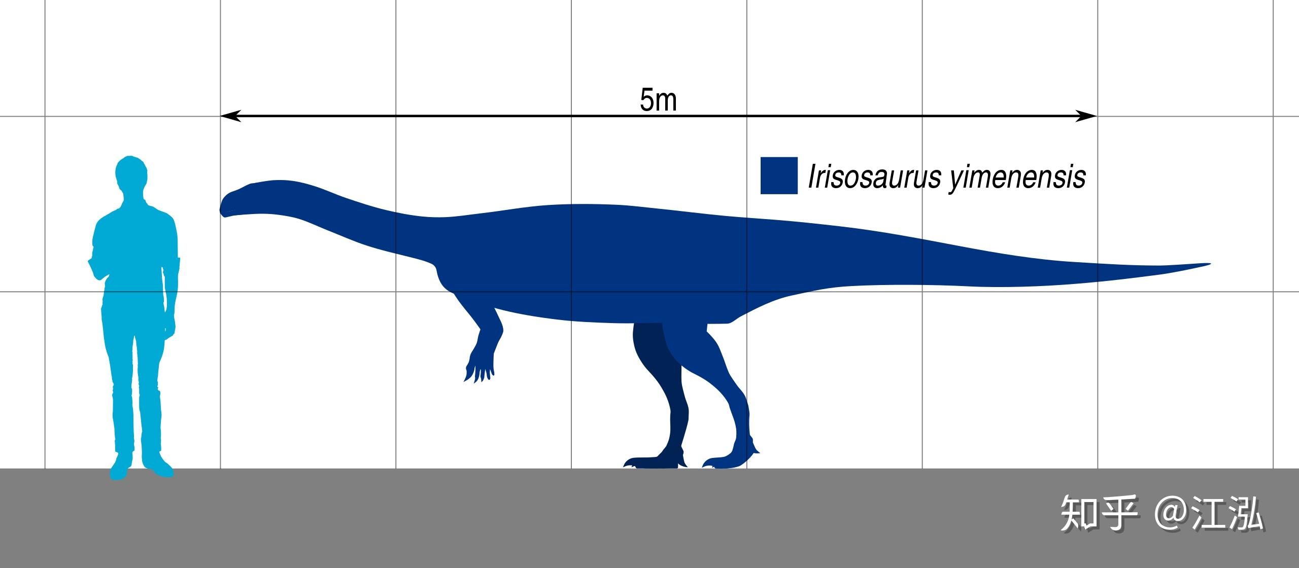 2020年新种恐龙大盘点！ - 知乎