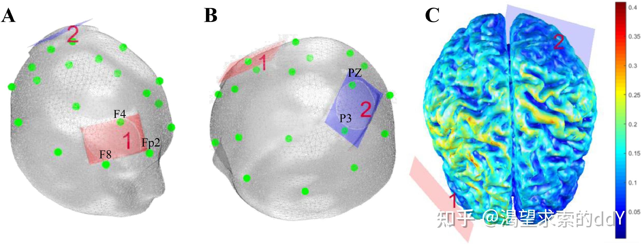 21天文献共读挑战，Day 8：tDCS会让工作效率高的人更高效？ - 知乎