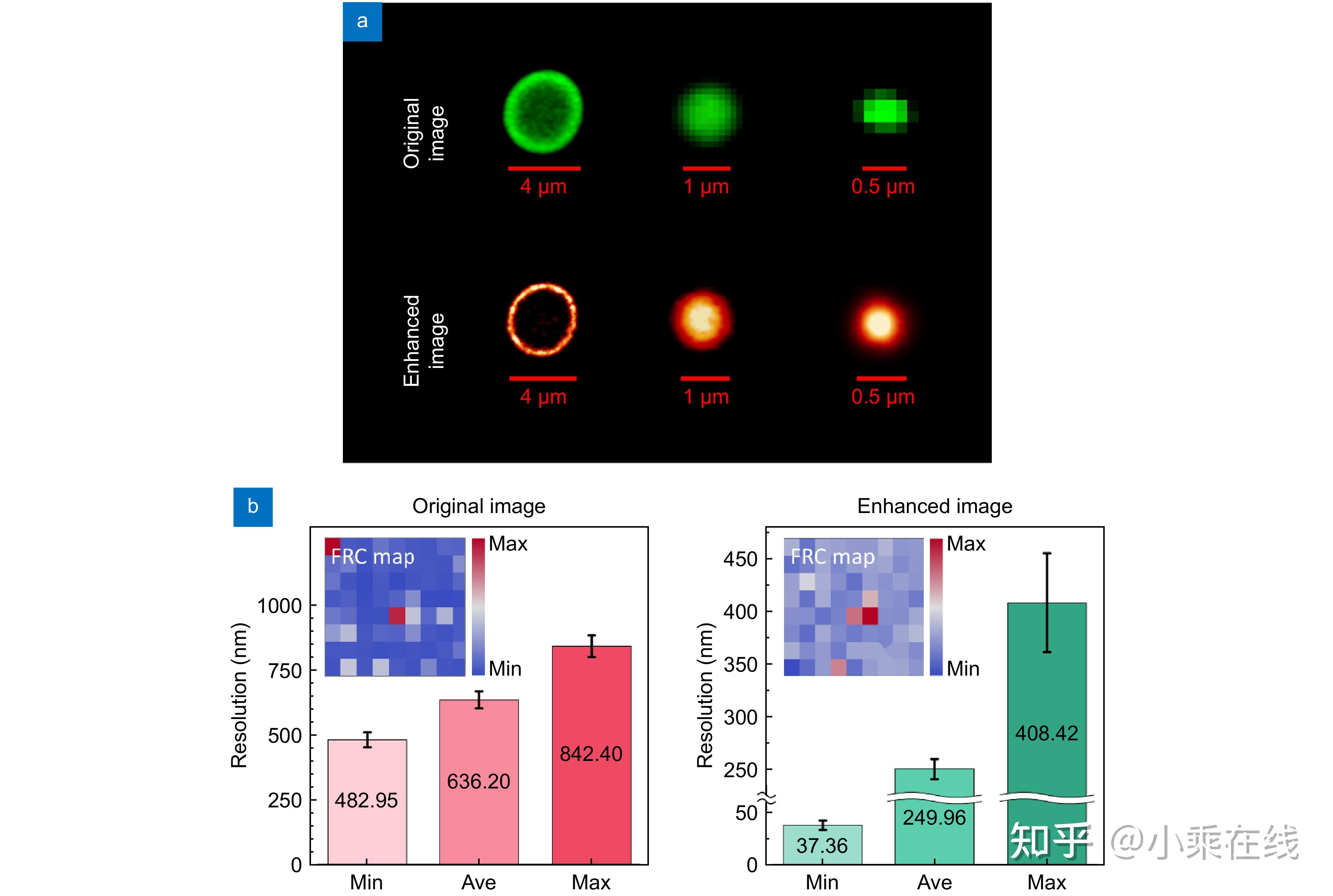 Multiphoton intravital microscopy in small animals of long-term ...