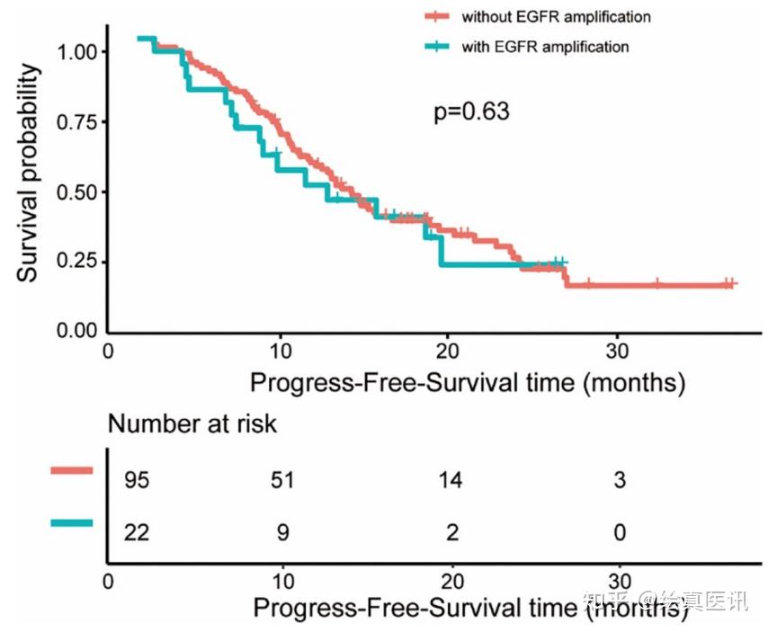 EGFR突变非小细胞肺癌患者在不同情形下检出EGFR扩增，有何临床意义？ - 知乎