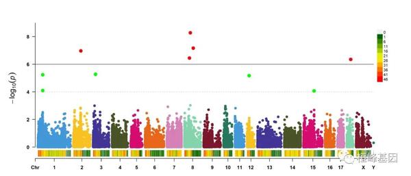 DNA 12. SCI 文章绘图之全基因组关联分析可视化(GWAS) - 知乎