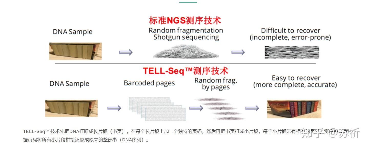 TELLseq：关联长读长测序 - 知乎