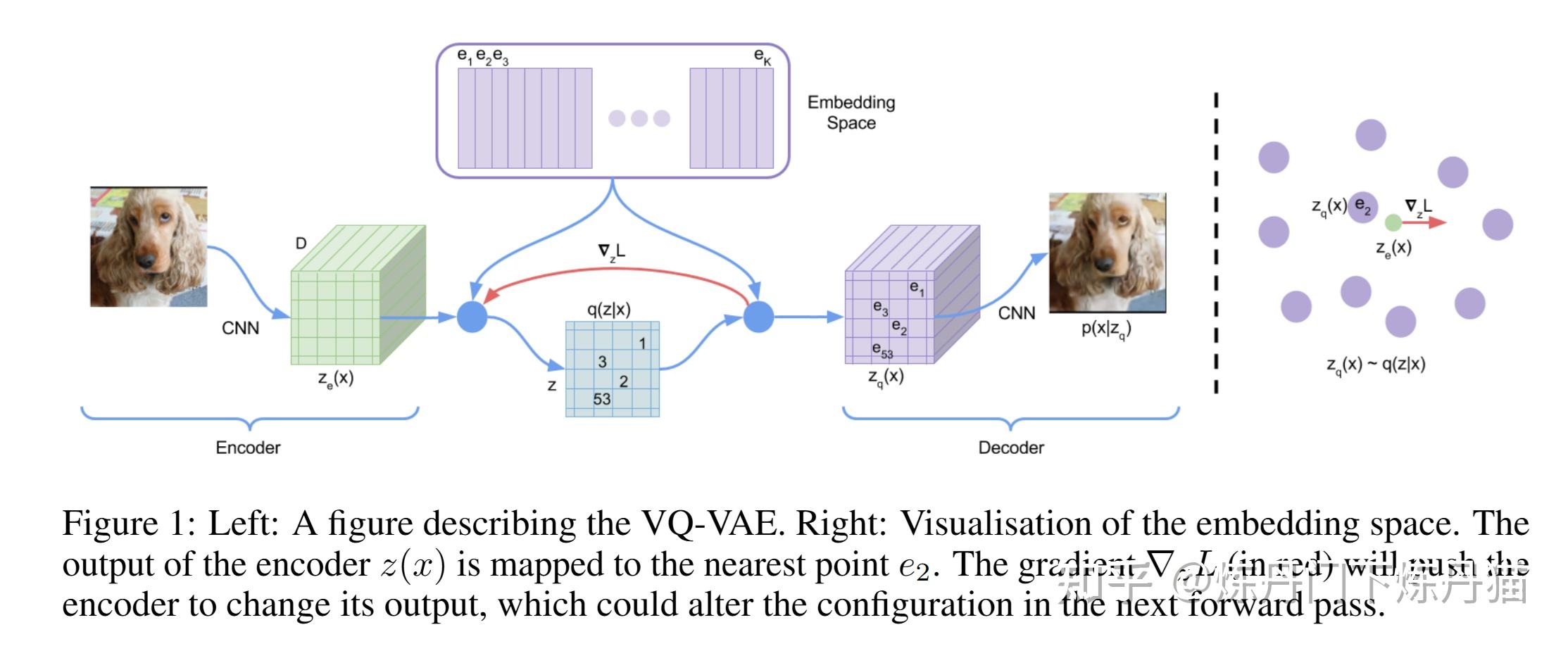 [简洁基础知识01]简洁理解AE, DAE,VAE, VQ-VAE (附代码，可对照着看) - 知乎