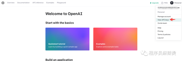 OpenAI API调用 - 知乎