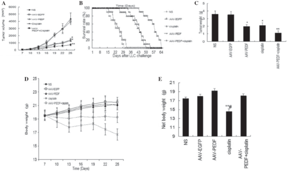 AAV在治疗肿瘤疾病方面的应用 - 知乎