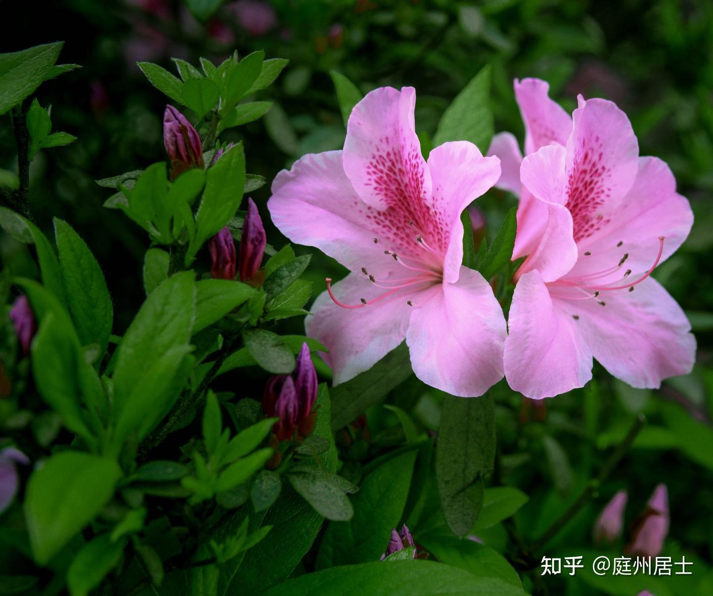 索尼70-350g综合体验(多图) - 知乎