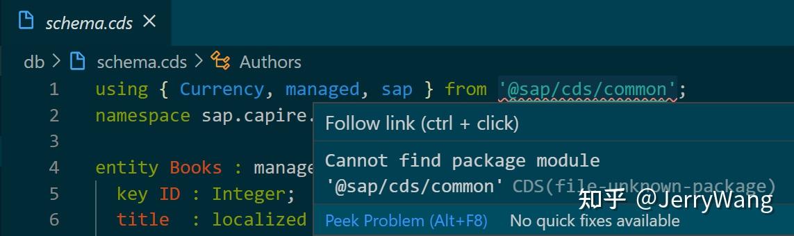 Cannot find package module @sap/cds/common - 知乎