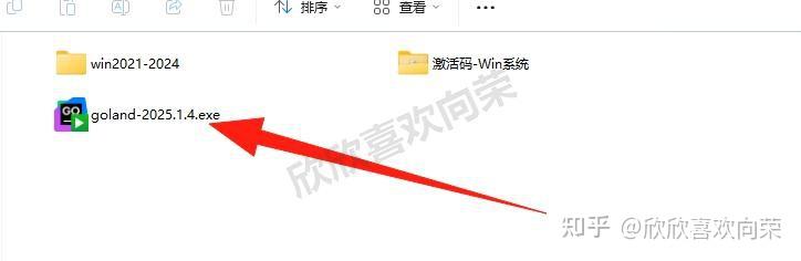【2025版】超详细GoLand+Go语言安装保姆级教程，永久免费使用，Go开发环境配置和使用指南，看完这一篇就够了 - 知乎