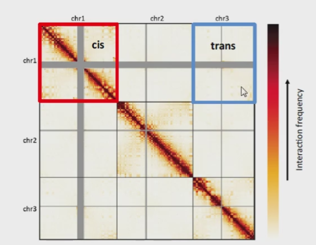 三维基因组学研究的是什么？什么是 Hi-C 技术？为什么 Hi-C 技术这么火？ - 知乎