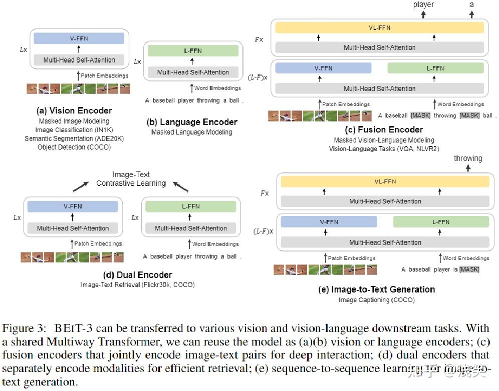 【Vision Transformer】BEiT3详解 - 知乎