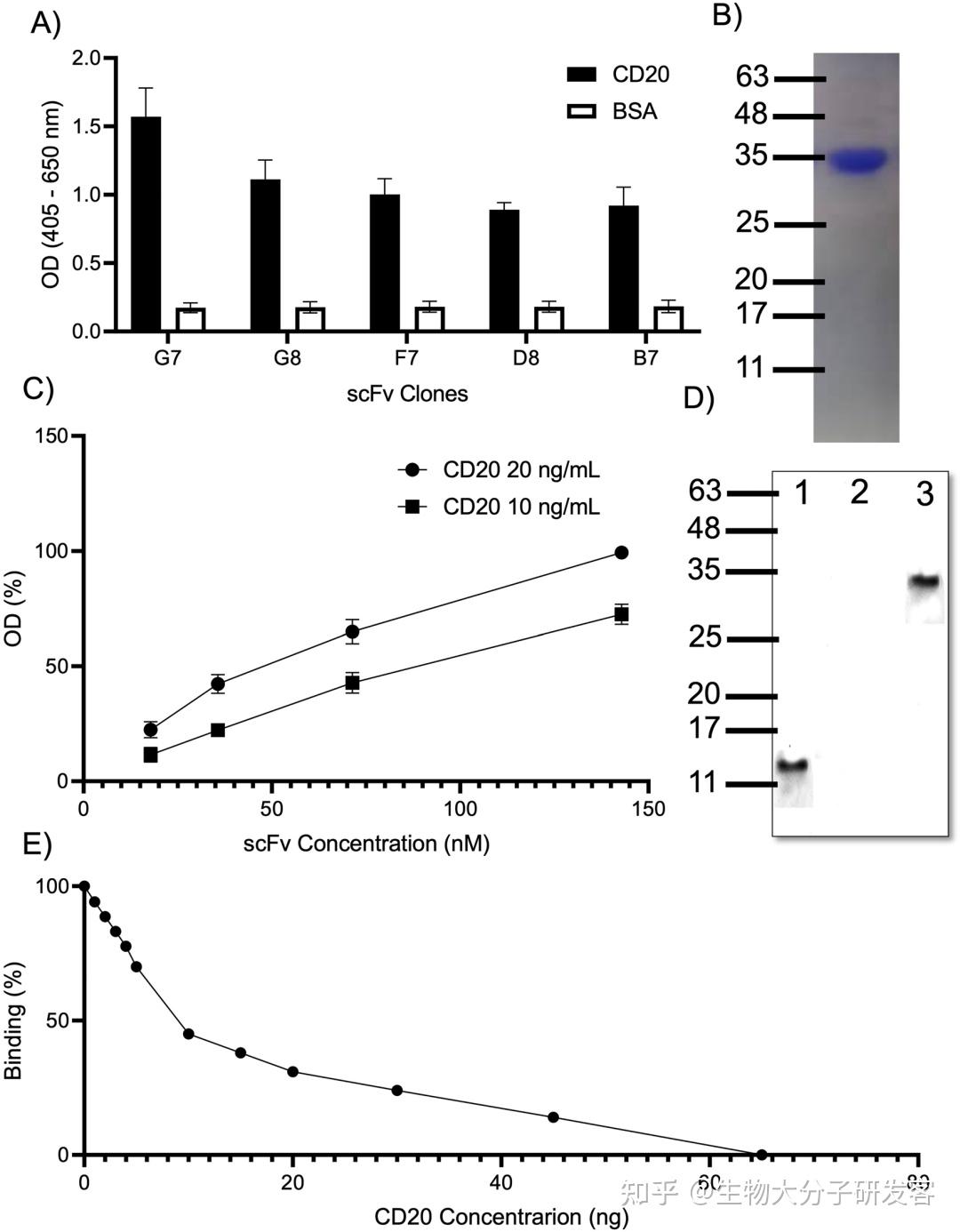 关注 I 从天然全人源scFv抗体库中分离鉴定CD20 - 知乎