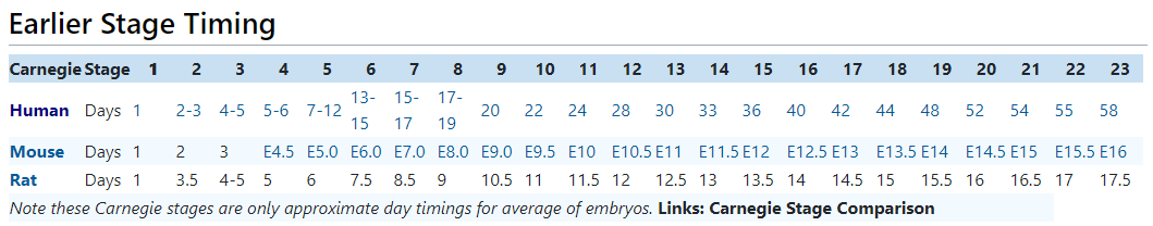 一枚受精卵如何“变”成一只小鼠？ - 知乎