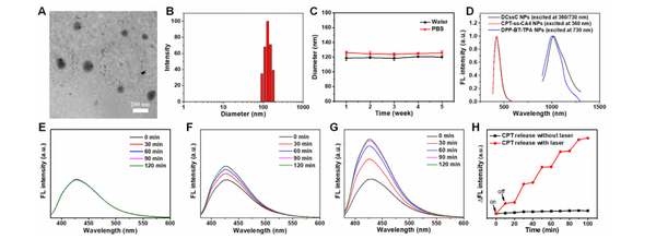 纳米探针 | NIR-II 荧光成像引导的光热/化学/抗血管生成疗法的纳米平台 - 知乎
