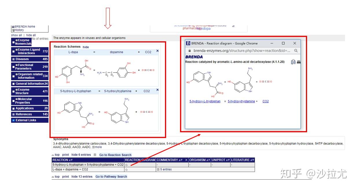 初识Enzyme Database-BRENDA - 知乎