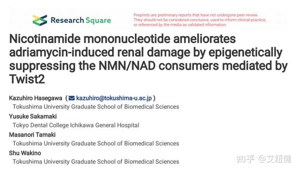 2022上半年NMN研究盘点（上） - 知乎