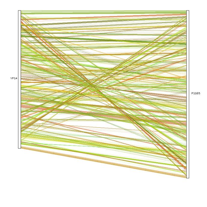 MCScanX 与MUMmer的基本使用 - 知乎