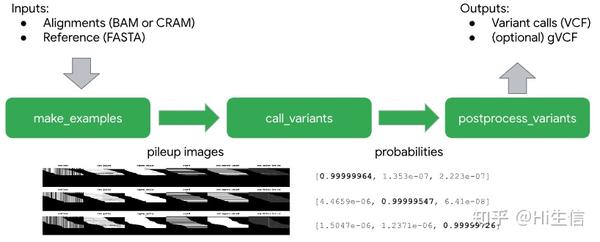 DeepVariant的安装和使用 - 知乎