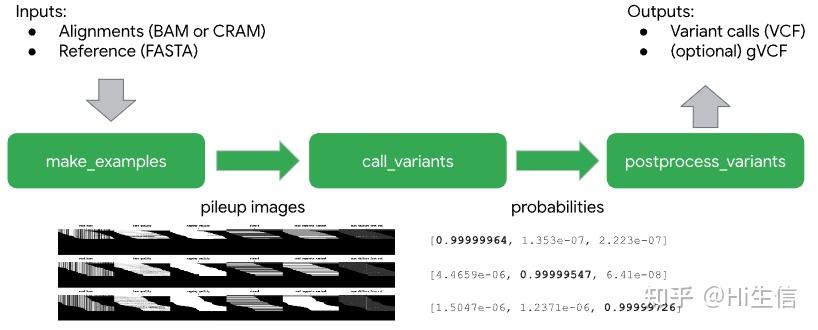 DeepVariant的安装和使用 - 知乎