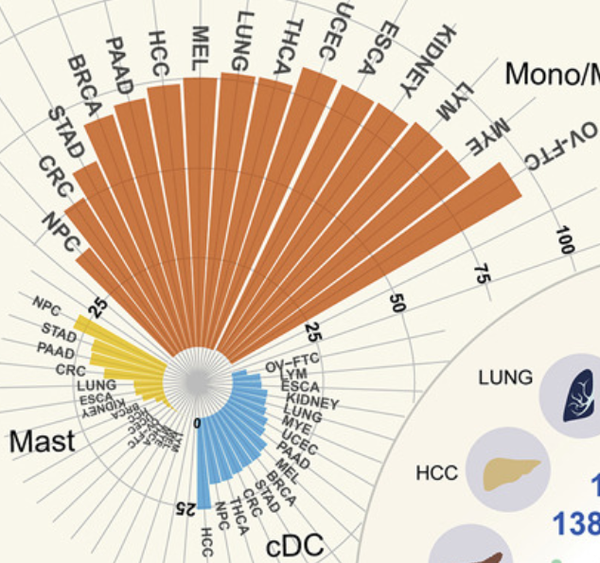 R语言ggplot2学习Cell文章的环形分组柱状图 - 知乎
