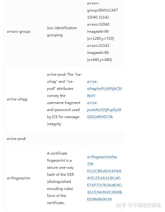 玩转 WebRTC 通信：一文读懂 SDP 协议 - 知乎