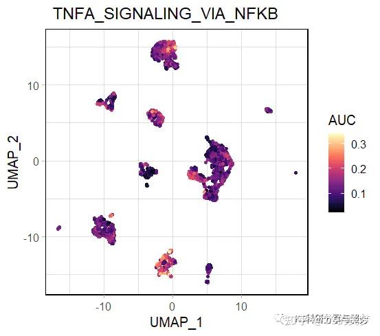 跟着Cell学单细胞转录组分析(十一):单细胞基因评分|AUCell评分 - 知乎