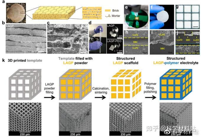武汉理工大学徐林教授CEJ：3D框架填料在复合聚合物电解质中的研究进展 - 知乎