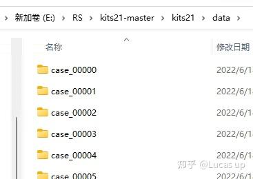 Kits21挑战赛数据获取及处理 - 知乎