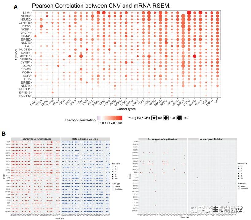 最新8+单肿瘤分型结合基因表达验证，这个热点被很多人忽视了 - 知乎