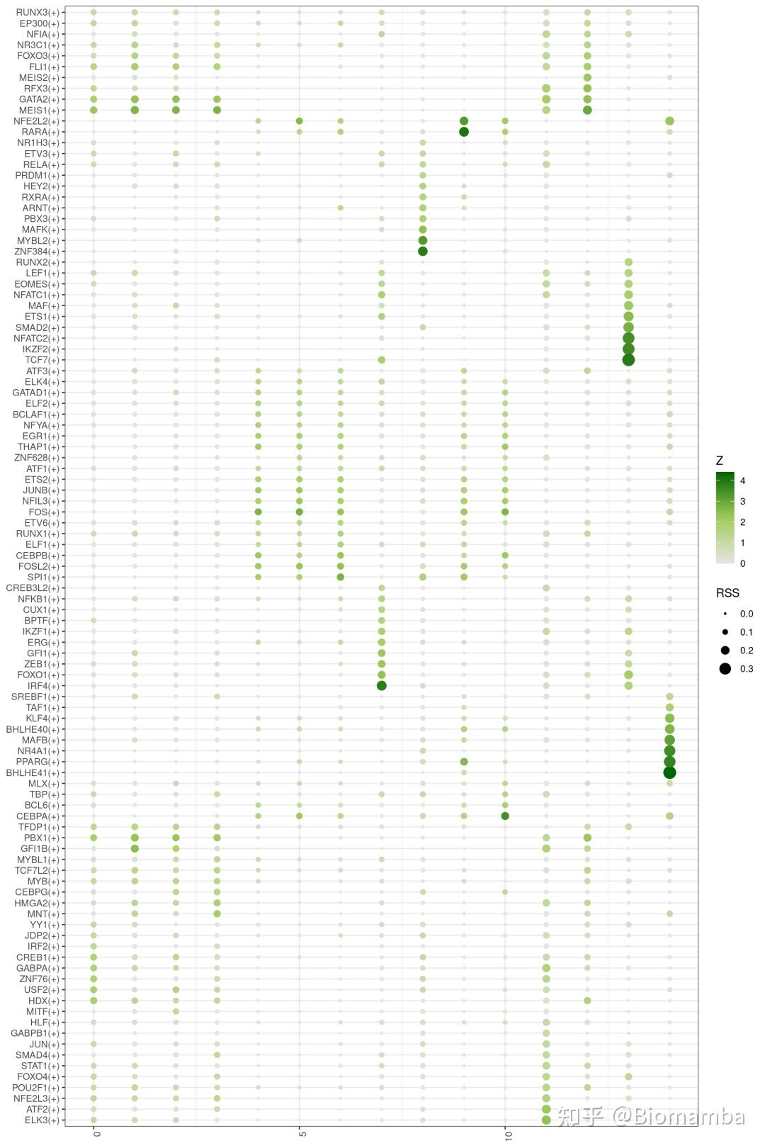 非模式物种PySCENIC分析流程 - 知乎