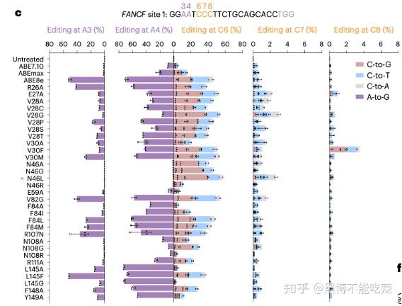 基于TadA-8e的CBE工具开发 - 知乎