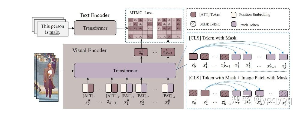 POAR: Towards Open Vocabulary Pedestrian Attribute Recognition - 知乎