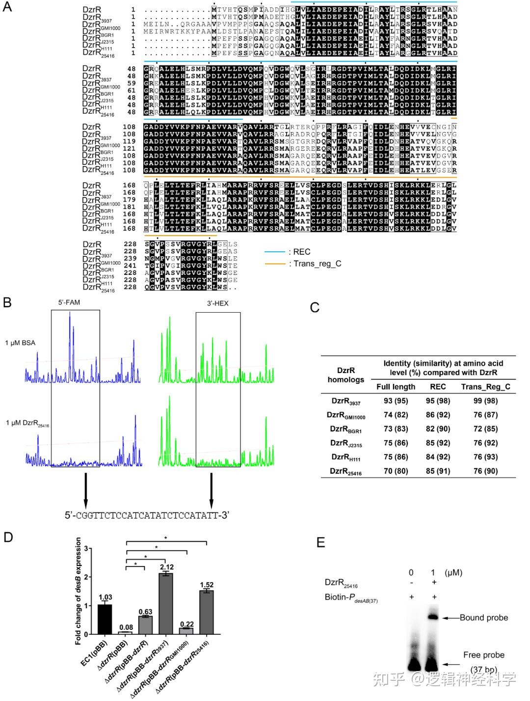 BMC Biol︱华南农业大学张炼辉/邓懿祯团队揭示细菌耐药新机制 - 知乎