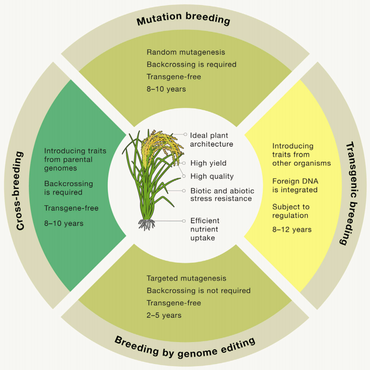 5G育种技术之植物性状订制 - 知乎