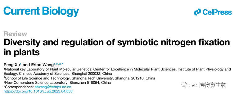 Current Biology | 中科院王二涛团队综述植物共生固氮作用的多样性和调控！ - 知乎