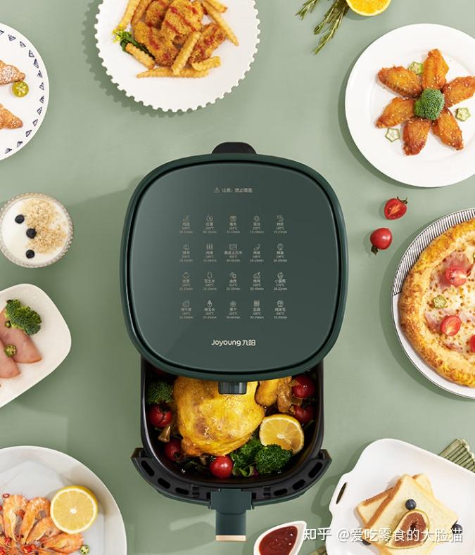 有什么适合家庭使用的大容量空气炸锅推荐吗？